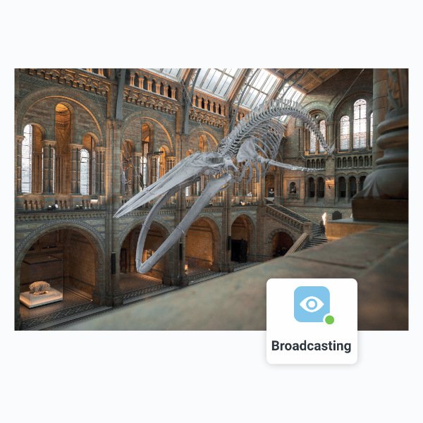 Angelcam: Seamless Live Streaming from Any Camera with Angelcam