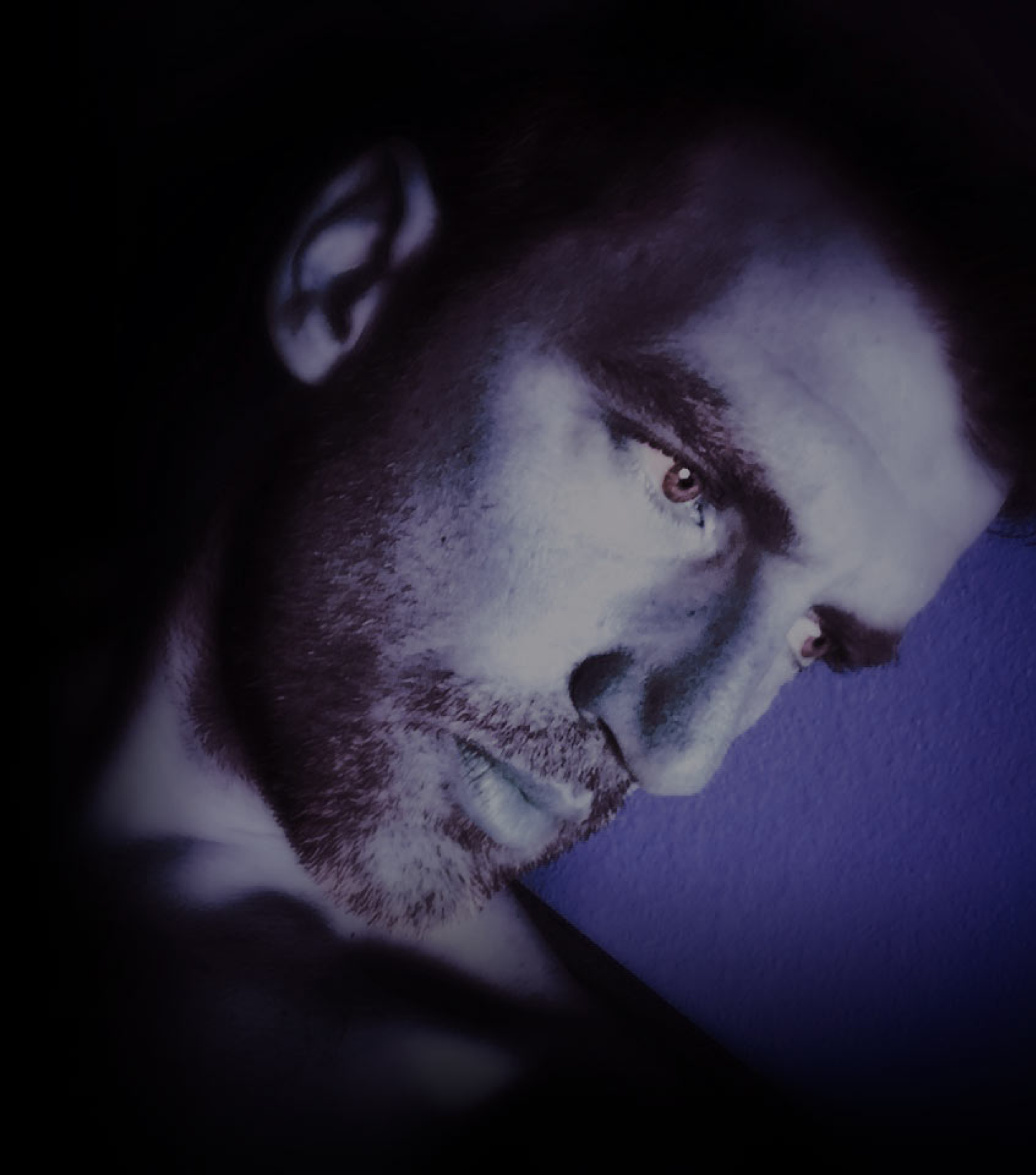 Antipodal Interactive Design, Branding & Marketing