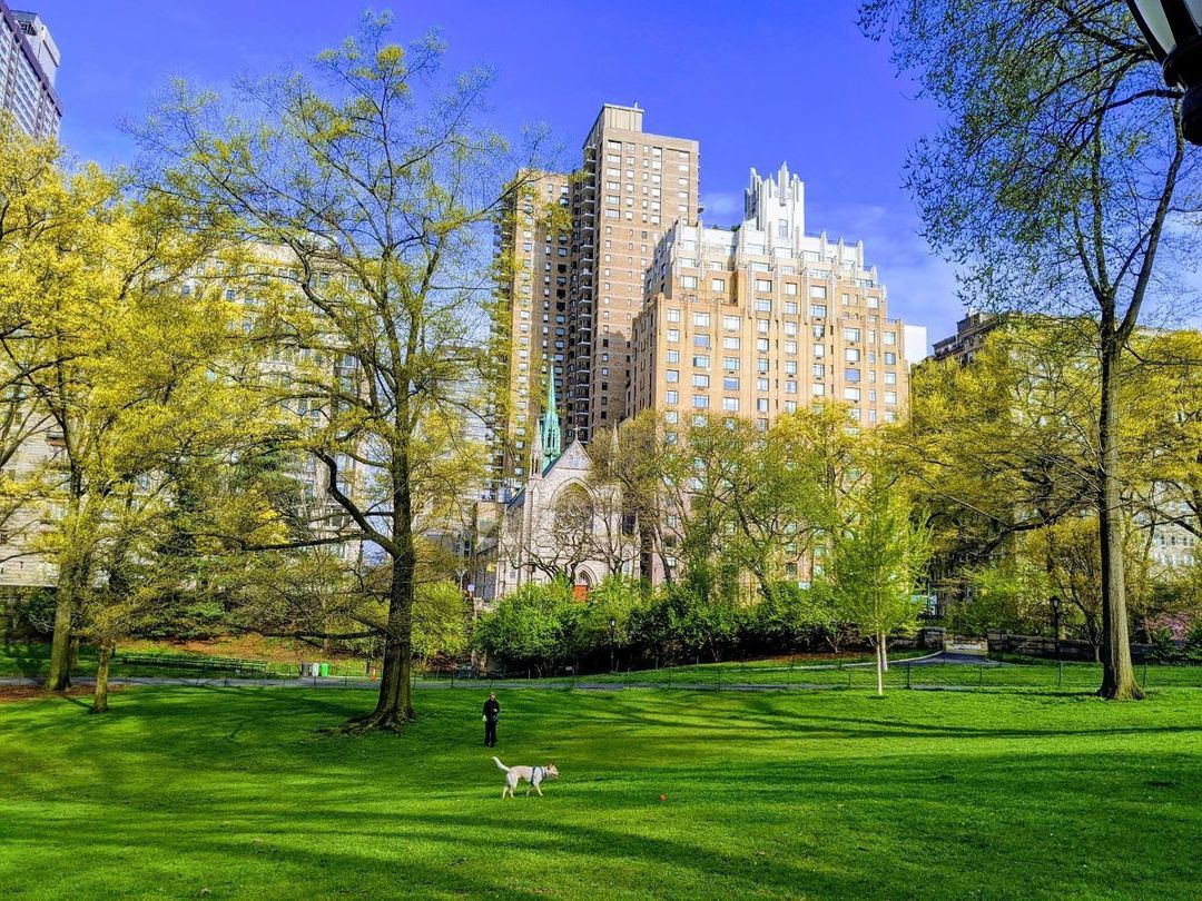 The Evangelical Lutheran Church of the Holy Trinity