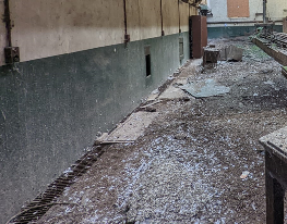 Pigeon Guano Removal – North London - Ruc