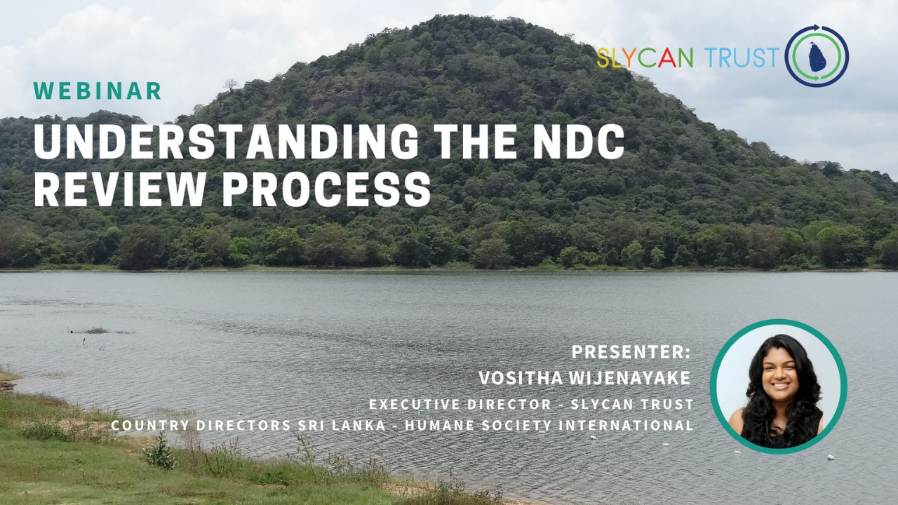 Understanding the NDC Review Process - Knowledge Hub