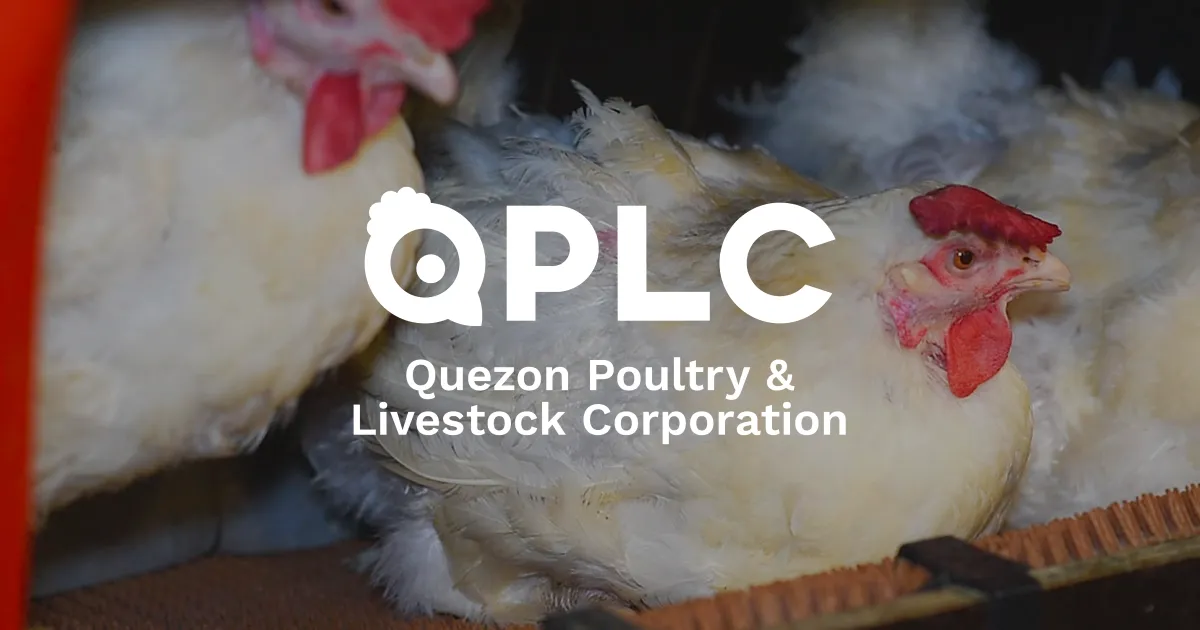 Quezon Poultry and Livestock Corporation | QPLC