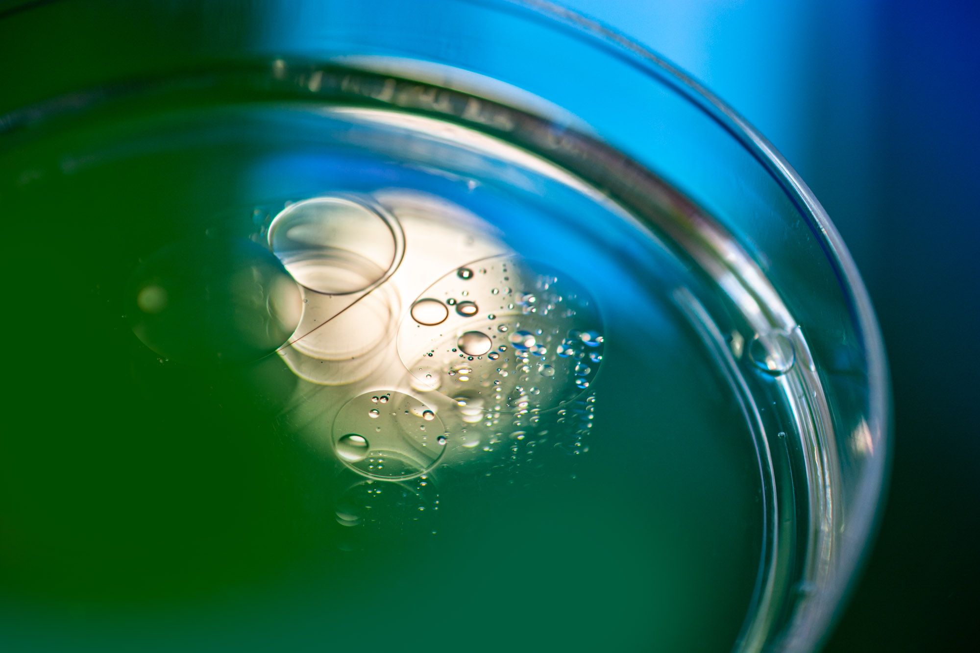 Crambe Abyssinica Seed Oil (Abyssinian Kale) I A&T Formulation ...