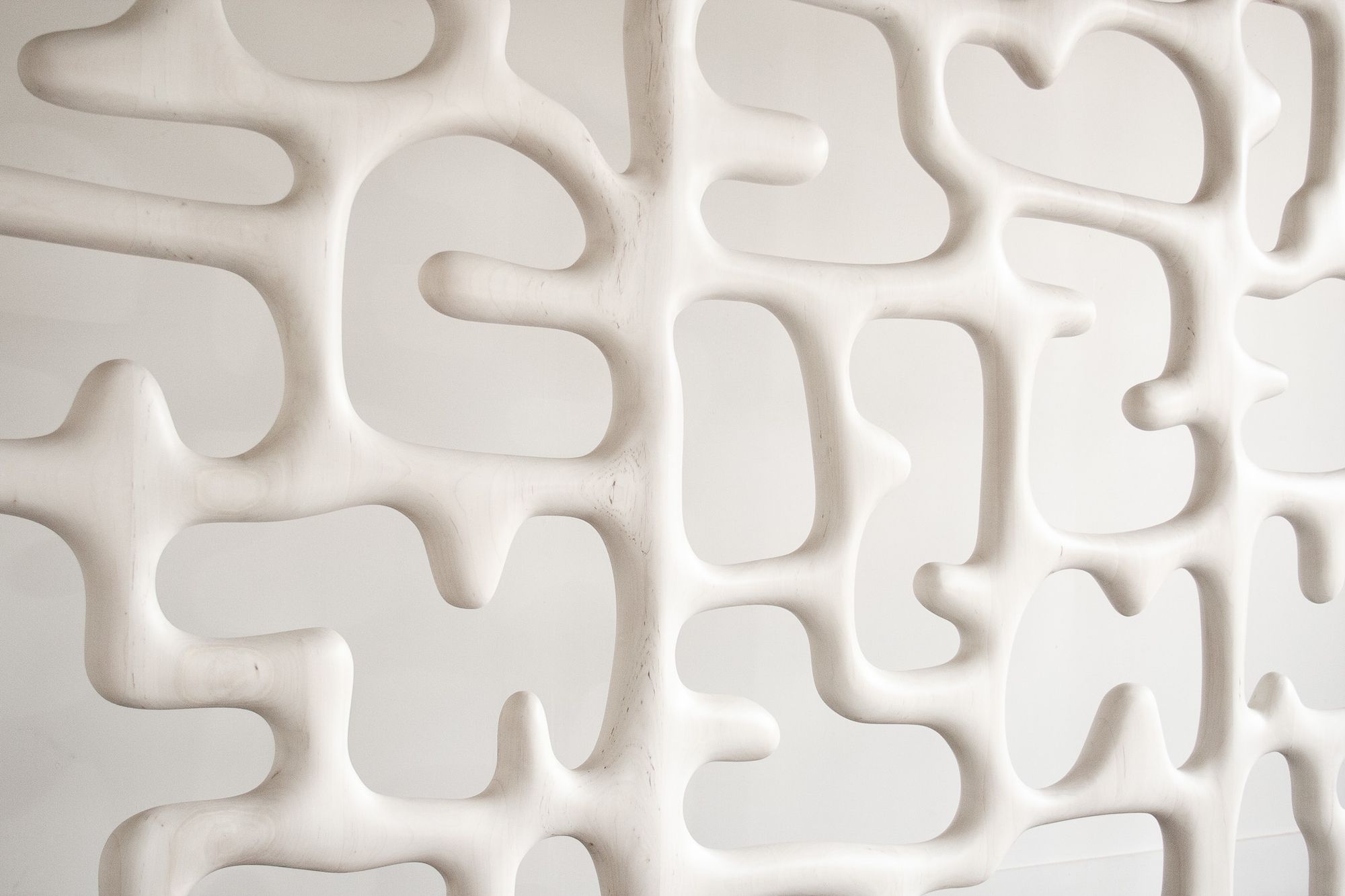 Casey Johnson Studio | Home