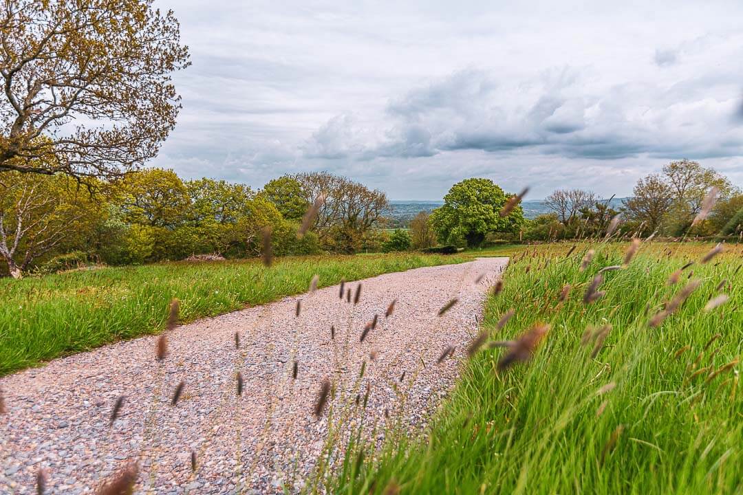 Heavenly Views Dog Park | Peaceful Dog Park in South Somerset near Taunton