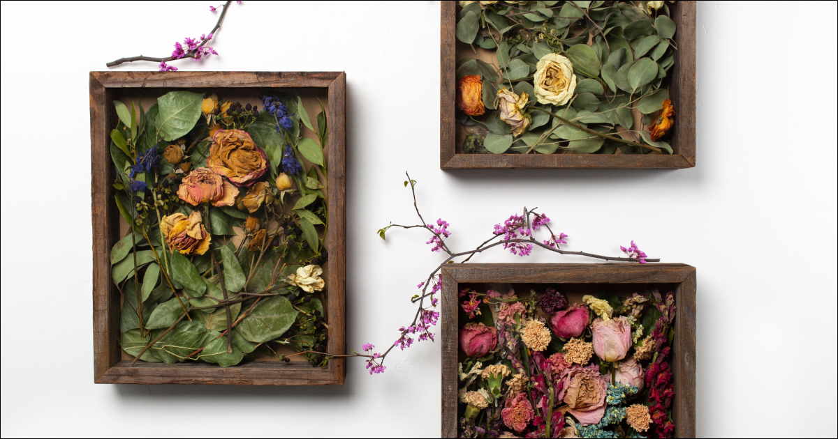 Set of 3 Shadow Boxes