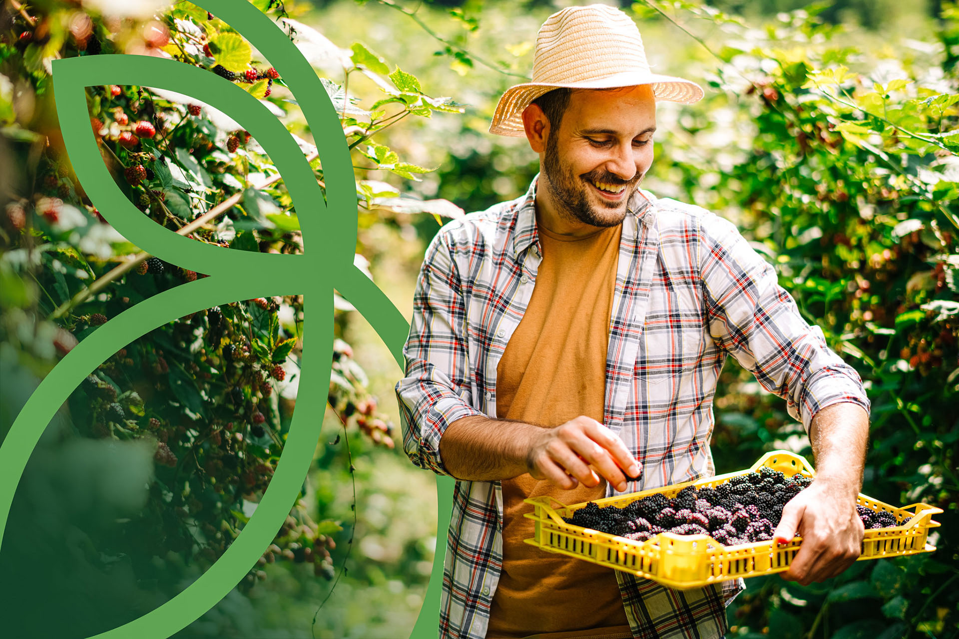 Who We Are | Berryworld