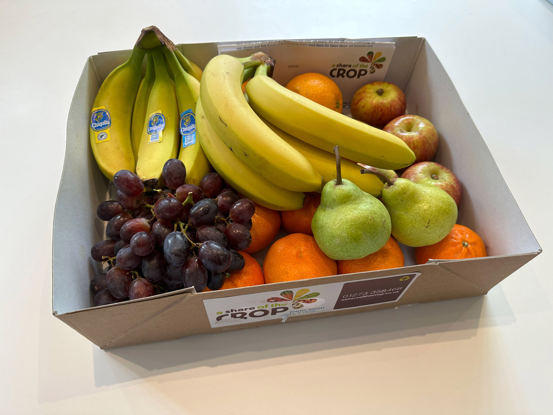 Improving Office Sustainability | Blog | Buff Motion | Brighton Motion ...