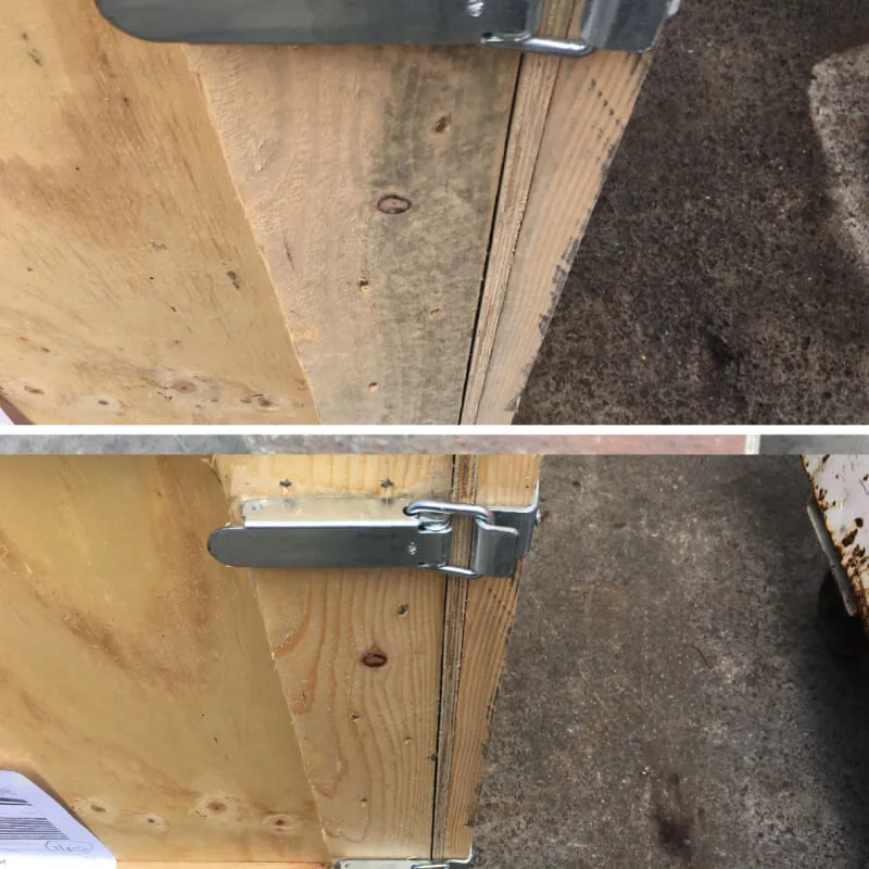 Expert Mould Removal, Cleaning & Inspection Services for Shipping and ...