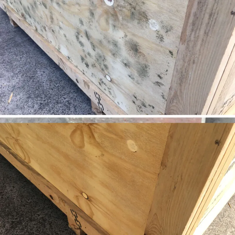 Expert Mould Removal, Cleaning & Inspection Services for Shipping and ...