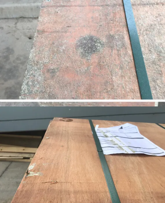 Expert Mould Removal, Cleaning & Inspection Services for Shipping and ...