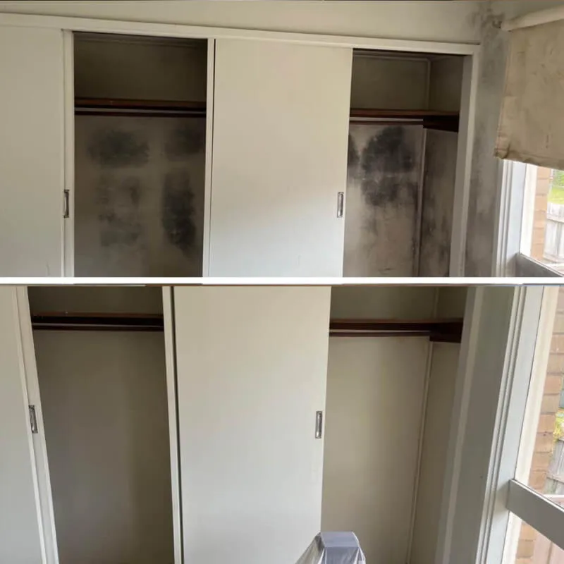 View Our Mould Removal Process And The Results