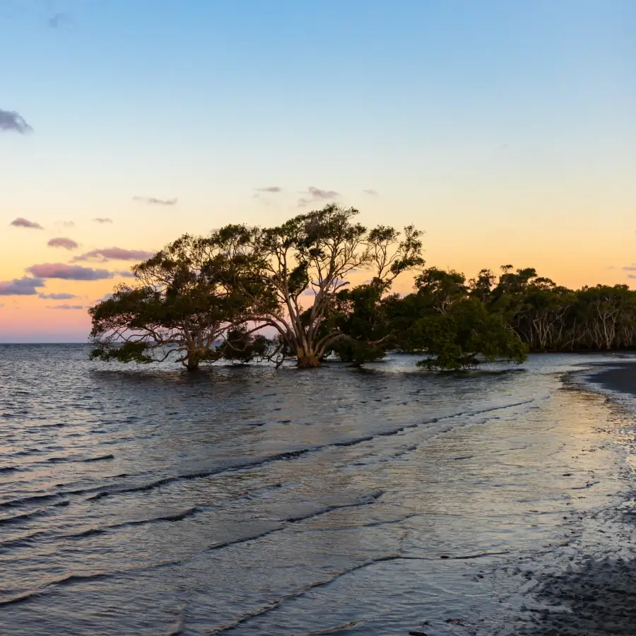 Expert Mould Removal Services in Moreton Bay