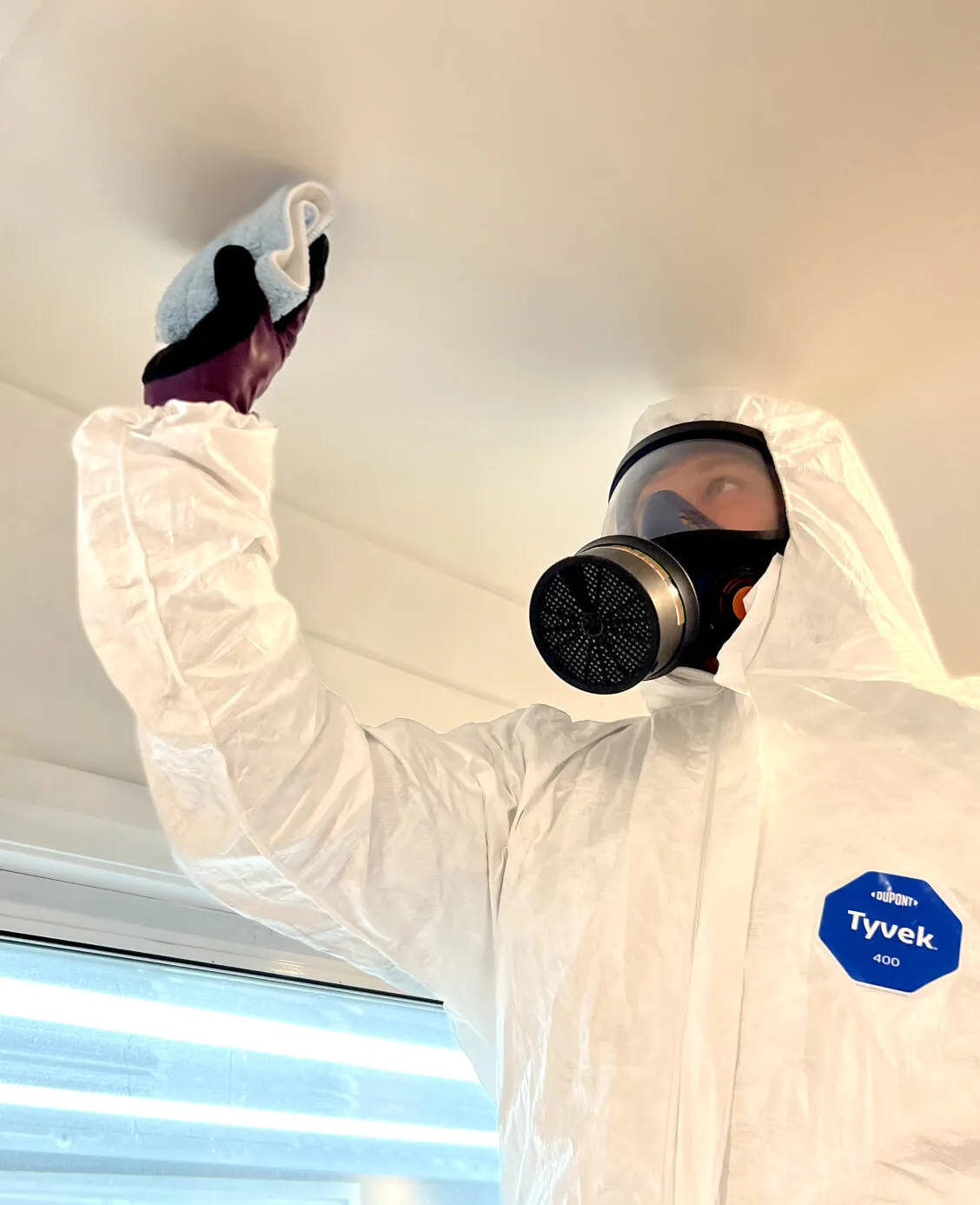 View Our Mould Removal Process And The Results