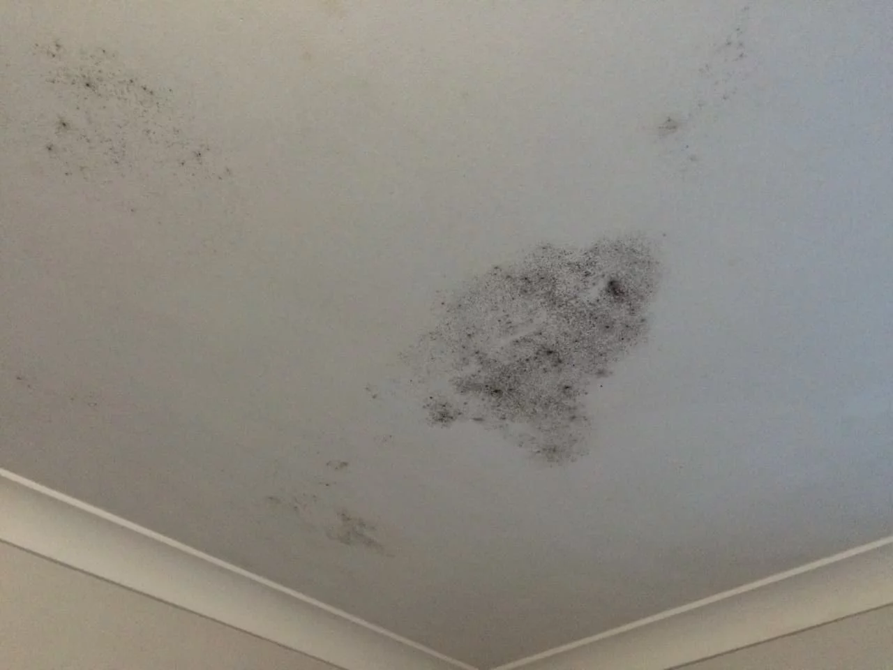 Mould Smell in the House - How to Find Checklist