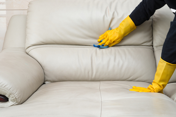 Preventing and Managing Mould Growth on Leather Items: A Comprehensive ...