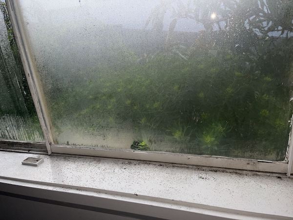 Are Tenants Daily Habits the Secret Source of Condensation?