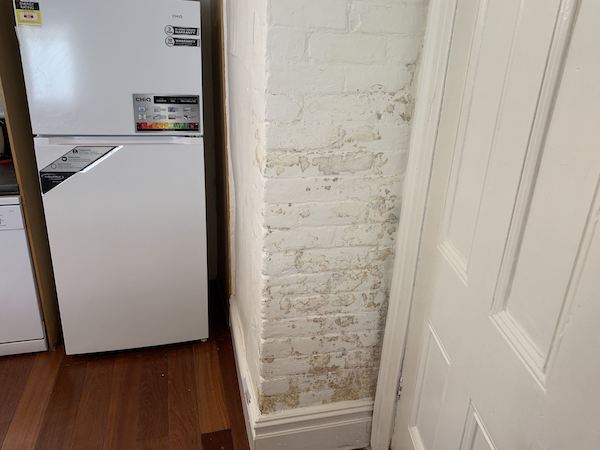 Building Damp Courses: Protecting Your Home from Moisture Damage