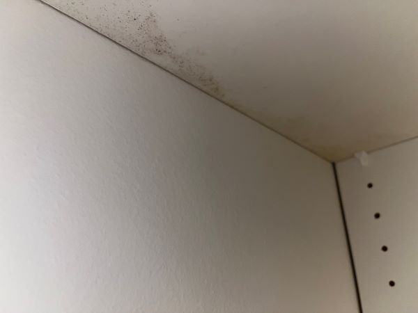 The Battle Against Mould in Kitchen Cupboards: Understanding ...