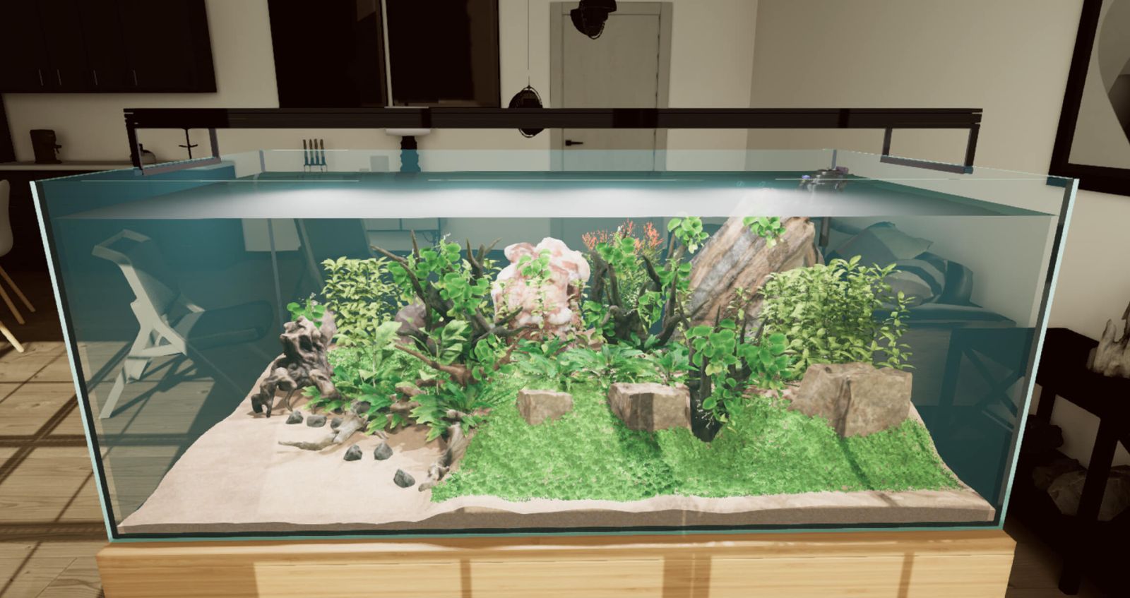 Création d'Aquariums d'Eau Douce à Poitiers | Math'Aqua