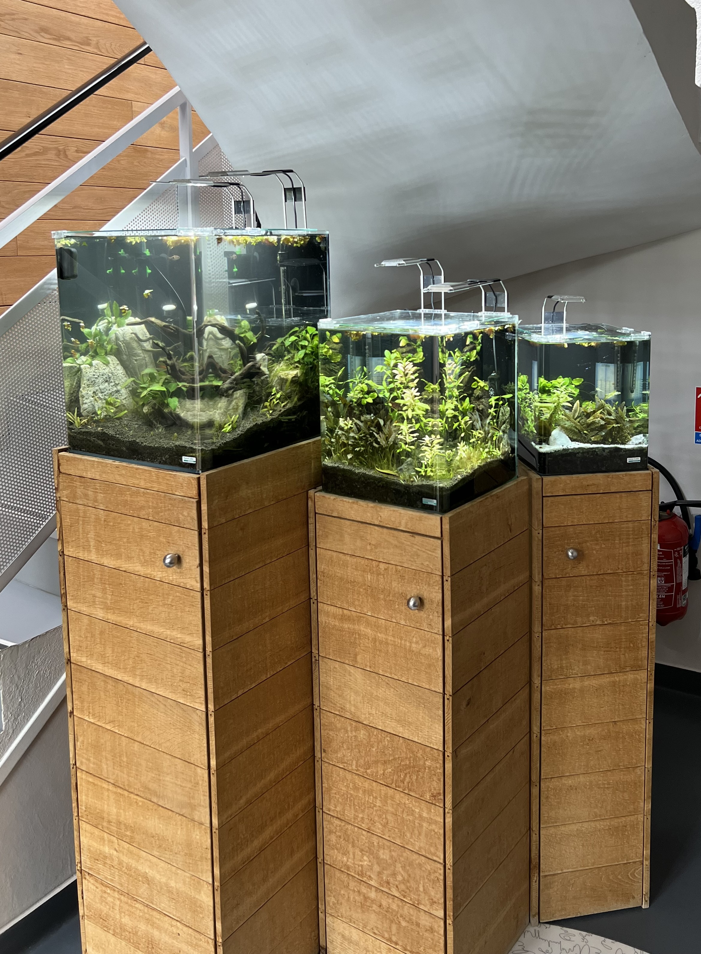 Création d'Aquariums d'Eau Douce à Poitiers | Math'Aqua