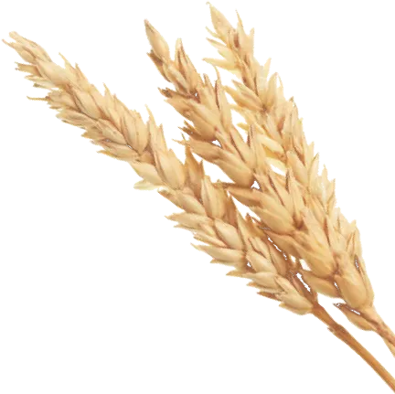 Einstallung | Karen von Schoening