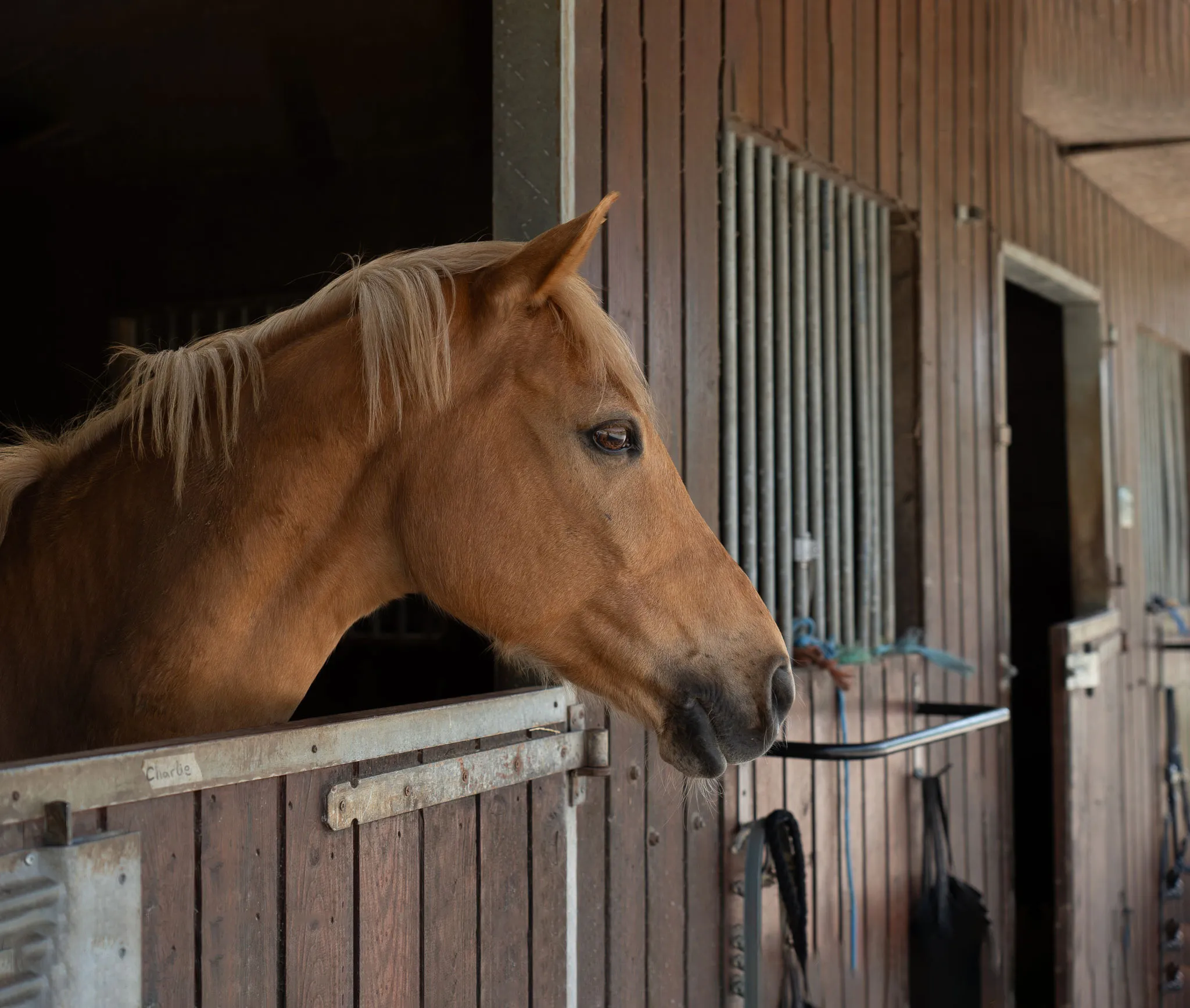 Mein Team | Karen von Schoening