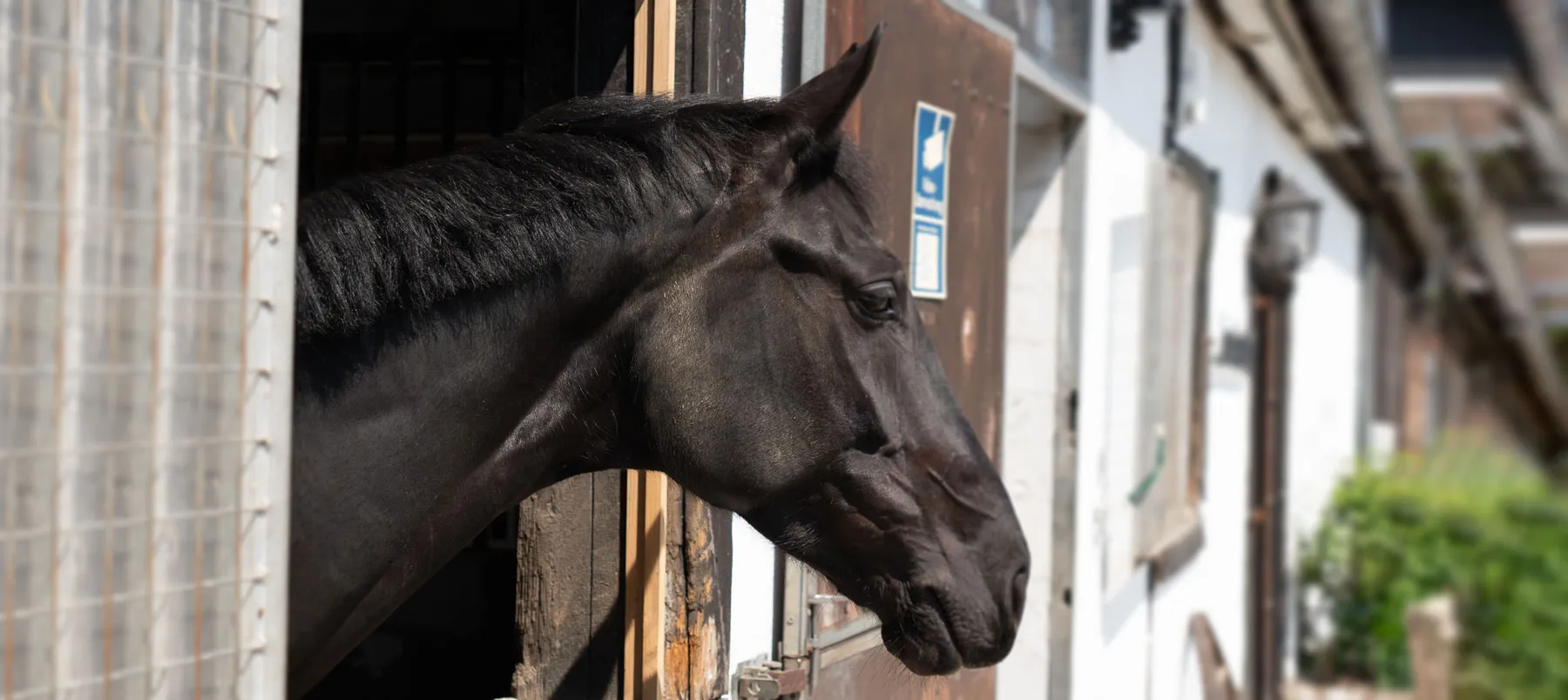 Einstallung | Karen von Schoening