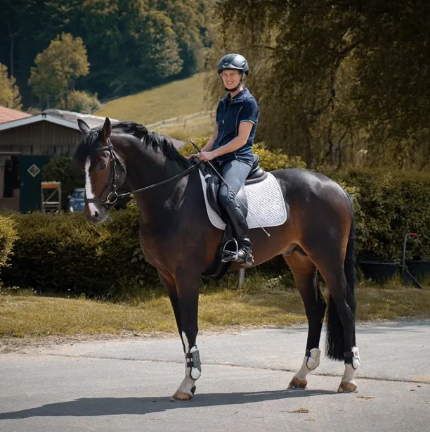 Jobs | Karen von Schoening