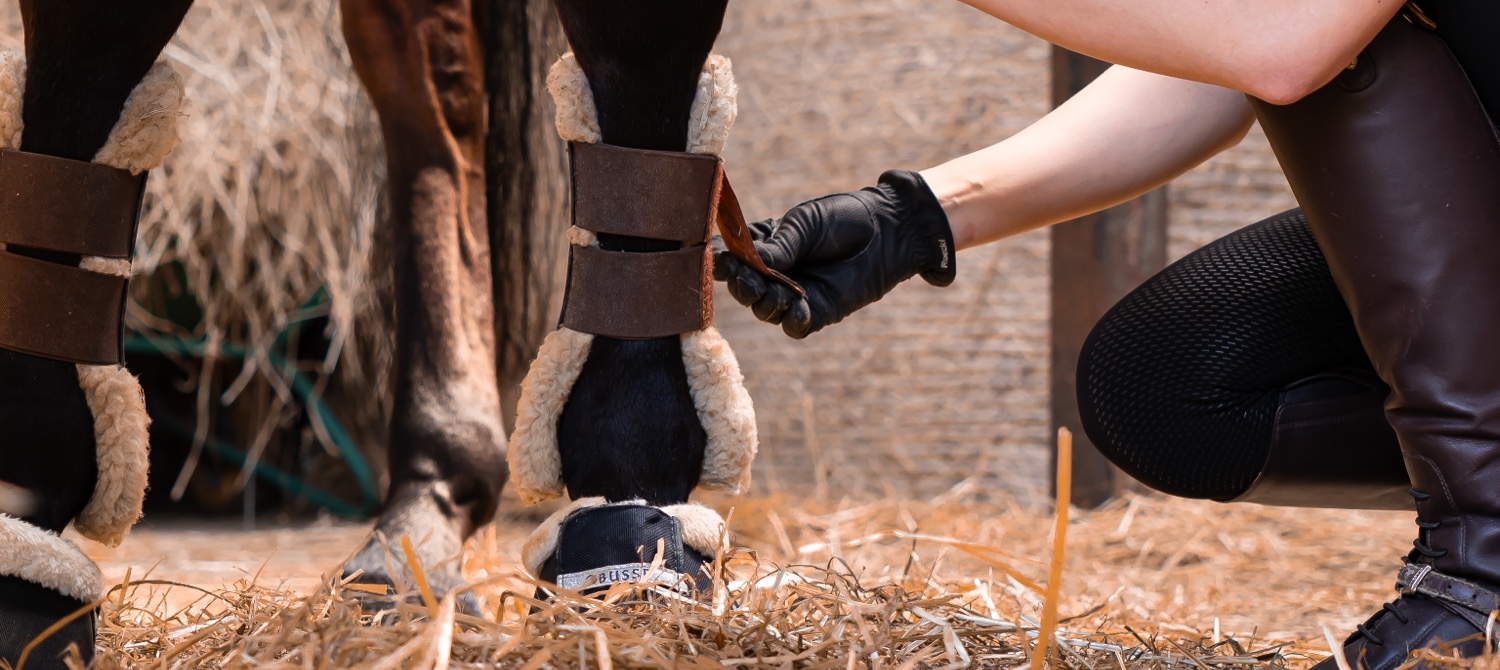 Jobs | Karen von Schoening