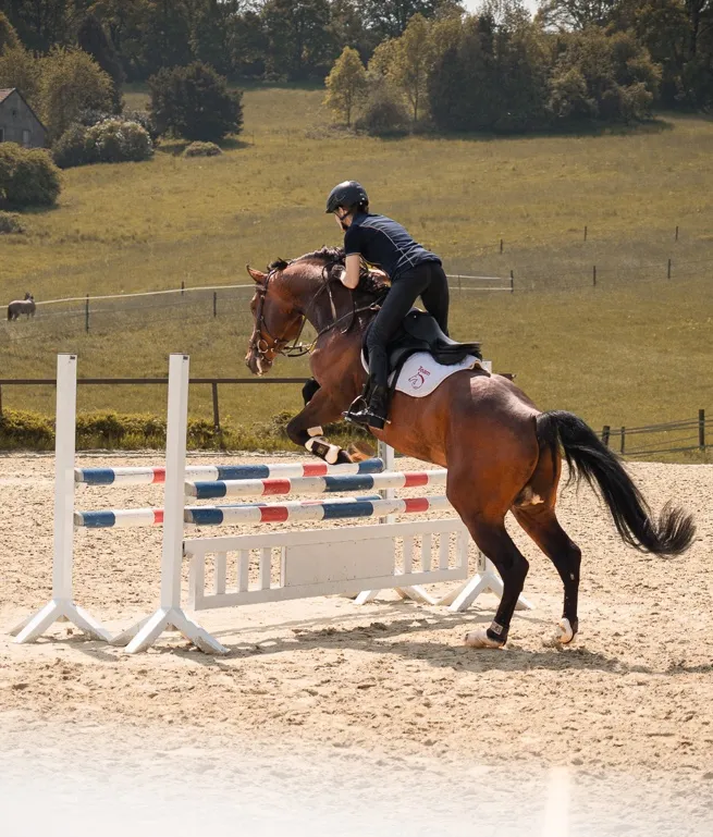 Über mich | Pferdewirtschaftsmeisterin Karen von Schoening