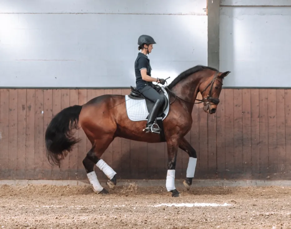 Über mich | Pferdewirtschaftsmeisterin Karen von Schoening
