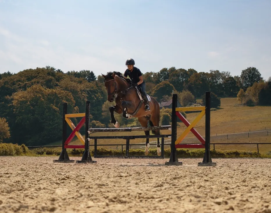 Über mich | Pferdewirtschaftsmeisterin Karen von Schoening