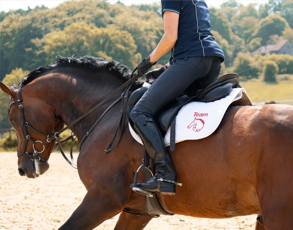 Über mich | Pferdewirtschaftsmeisterin Karen von Schoening