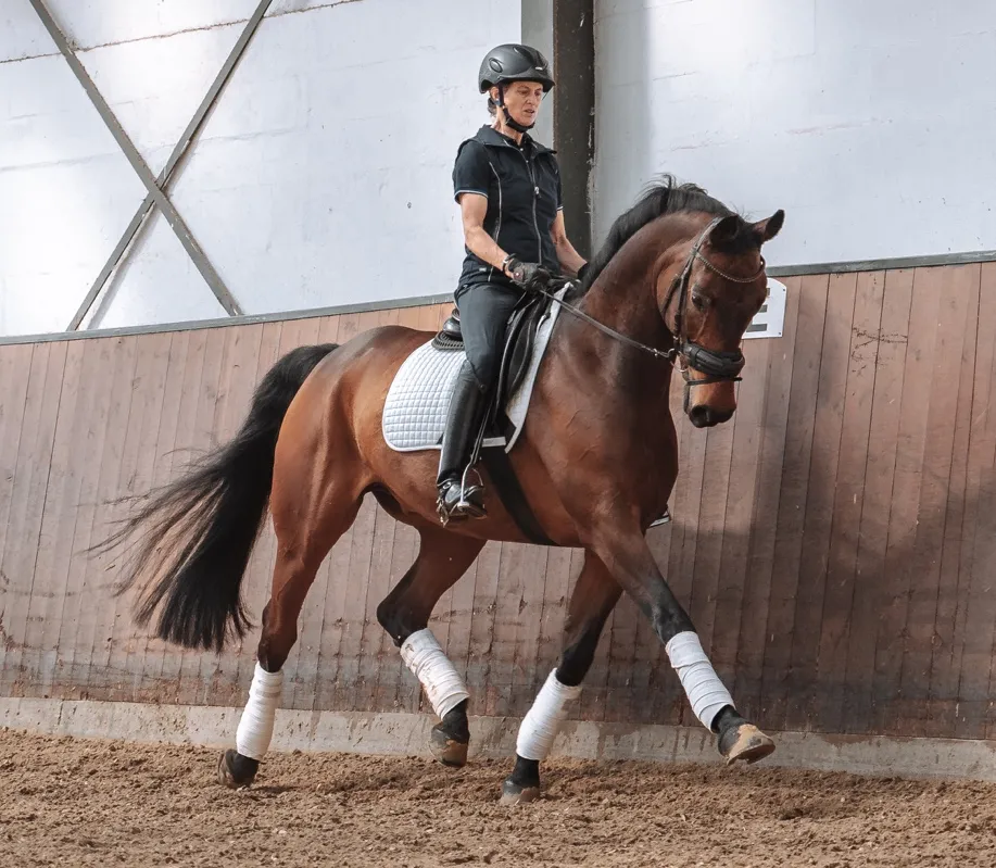 Über mich | Pferdewirtschaftsmeisterin Karen von Schoening