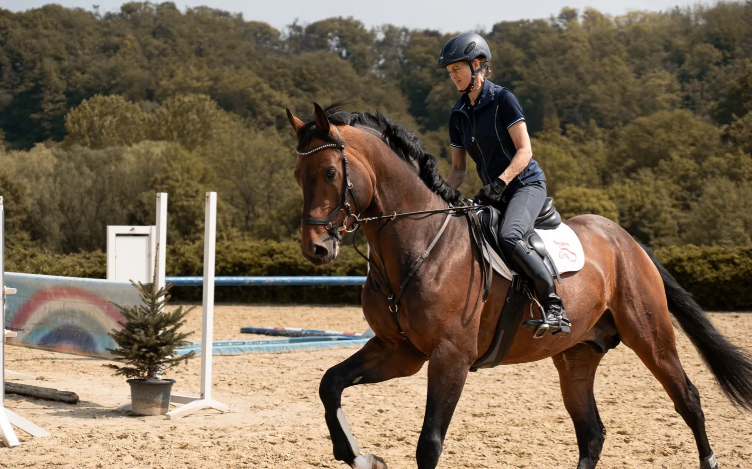 Über mich | Pferdewirtschaftsmeisterin Karen von Schoening