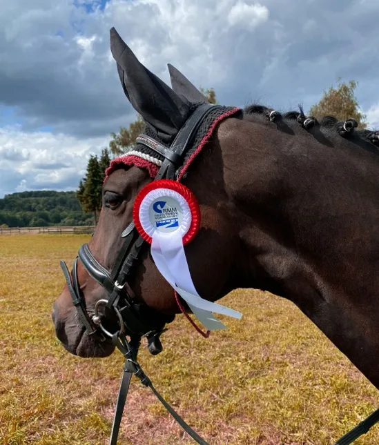 Weitere Services | Karen von Schoening