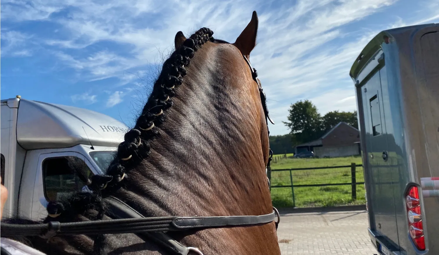 Weitere Services | Karen von Schoening