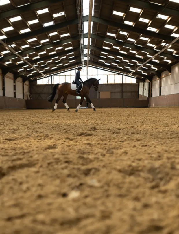 Einstallung | Karen von Schoening