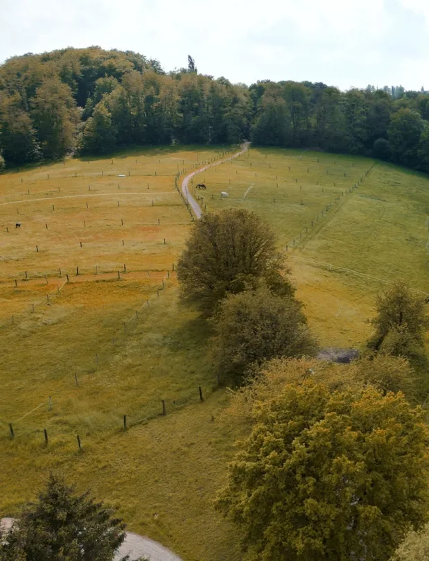 Einstallung | Karen von Schoening