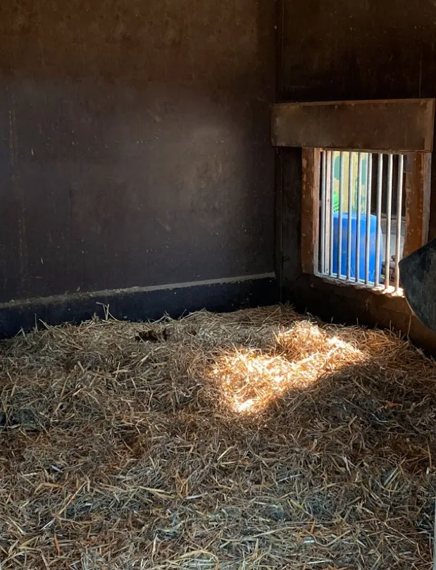 Einstallung | Karen von Schoening