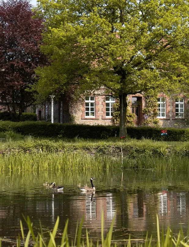 Einstallung | Karen von Schoening