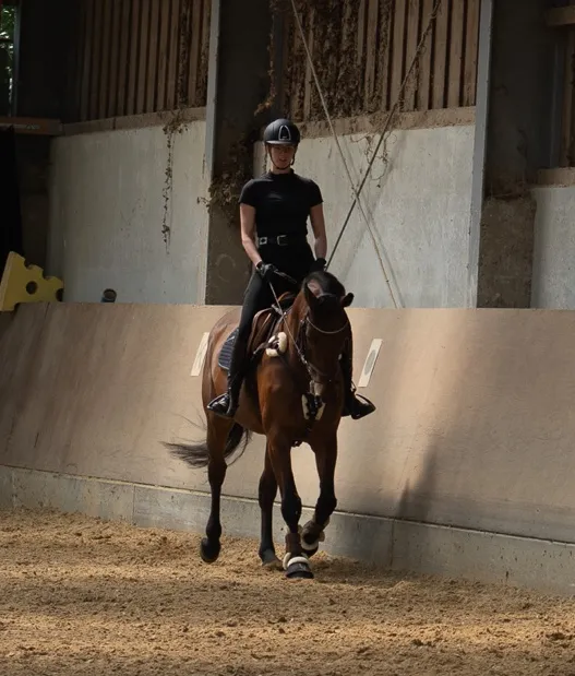 Unterricht | Karen von Schoening