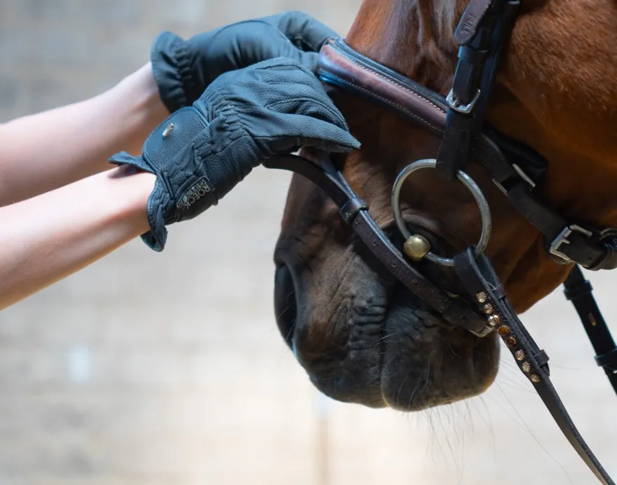 Ausbildung | Karen von Schoening