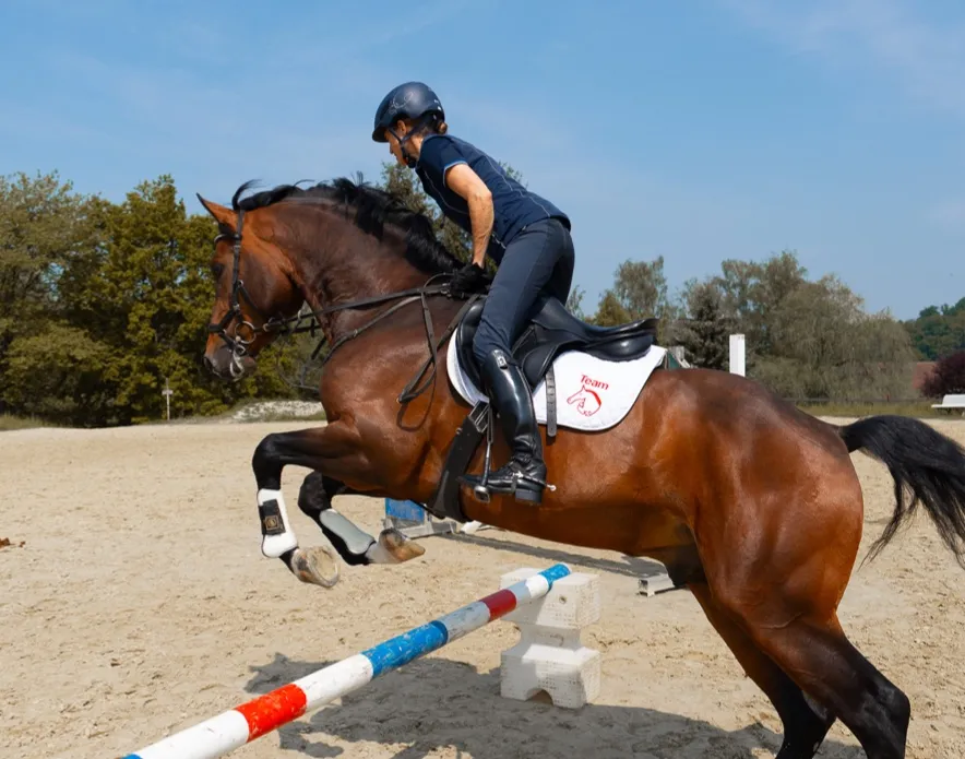 Ausbildung | Karen von Schoening