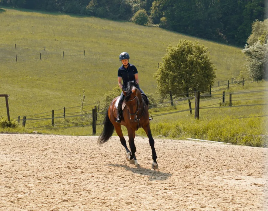 Ausbildung | Karen von Schoening