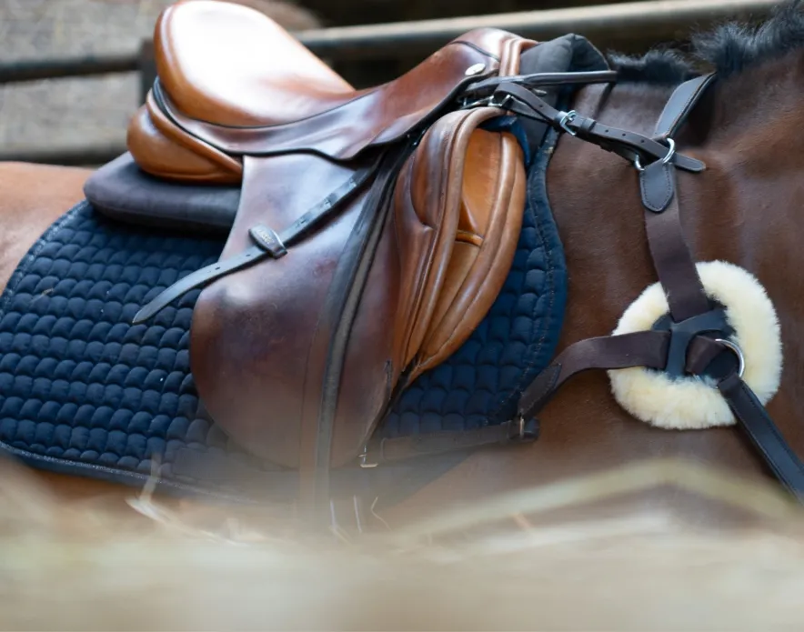 Ausbildung | Karen von Schoening