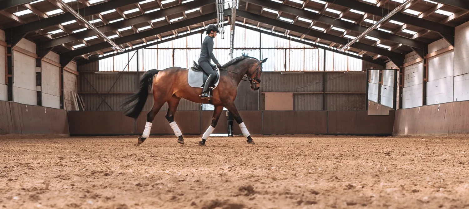 Beritt | Karen von Schoening