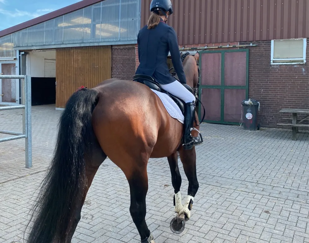 Beritt | Karen von Schoening