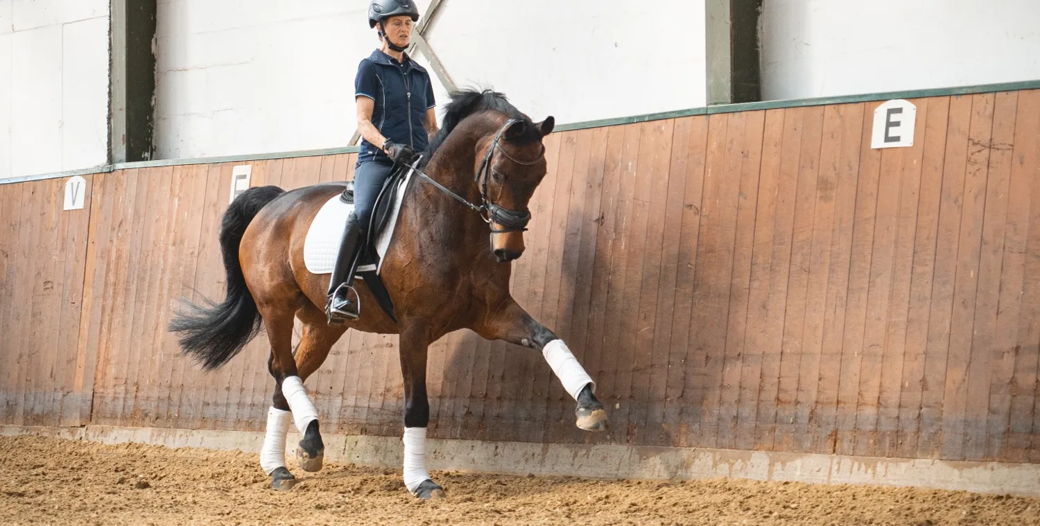 Beritt | Karen von Schoening